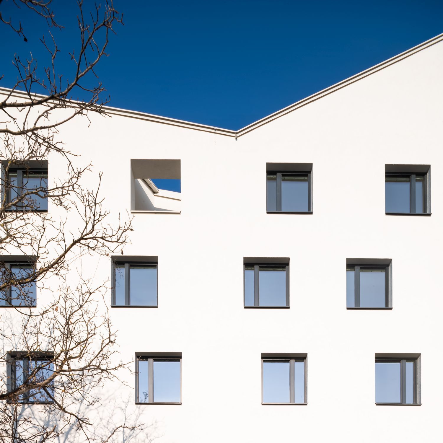 Johann-Orth-Platz | GERNER GERNER PLUS., Wien / Architekten - BauNetz ...